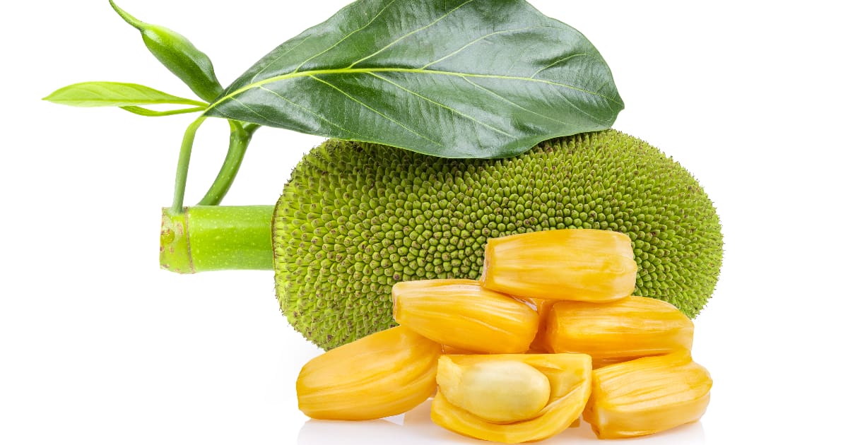 jackfruit taste