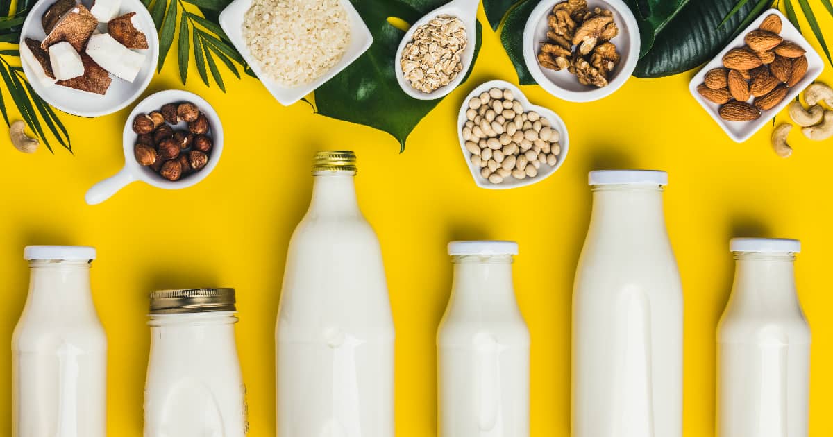 7 Best Milk Substitutes: Your Guide to Dairy-Free Deliciousness ...