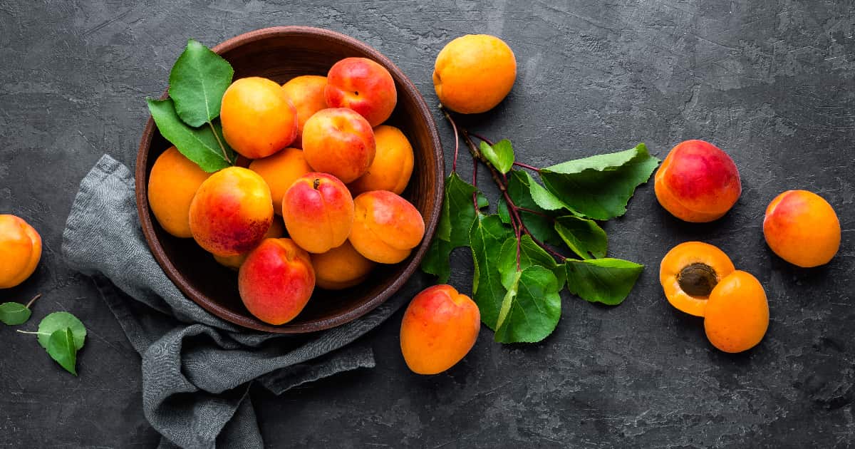 Are Apricots Good for You? A Guide to this Golden Fruit – Advanced Food ...