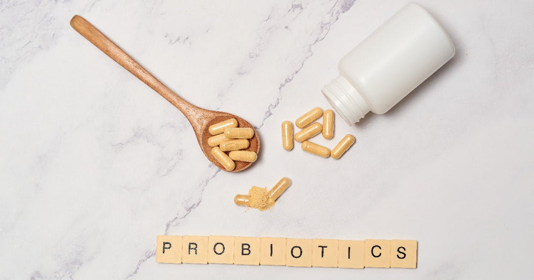 Best Probiotics After Antibiotics: Your Guide to Gut Recovery ...