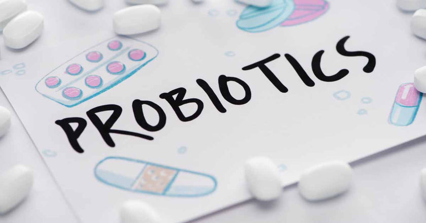 Best Probiotics for Acid Reflux: Soothing the Burn – Advanced Food ...