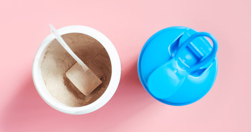 Best Protein Powder for Gut Health: What You Need to Know – Advanced ...