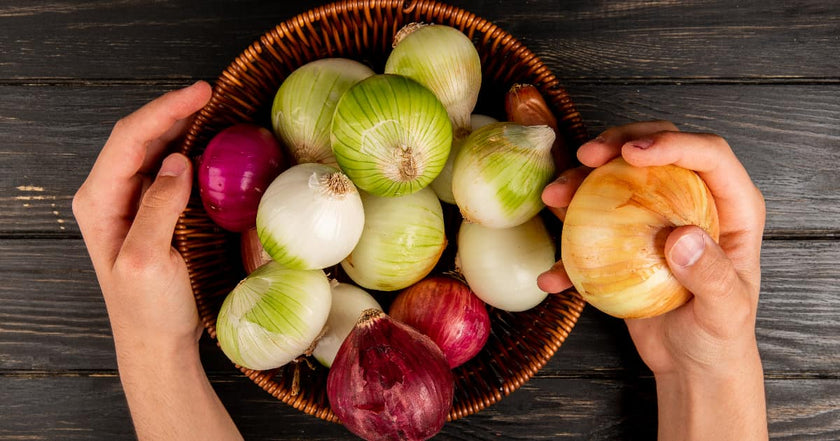 Can You Be Allergic to Onions? What You Need to Know – Advanced Food ...