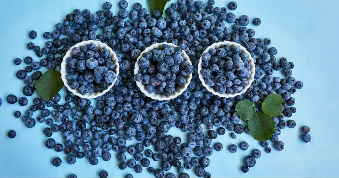 Do Blueberries Make You Poop? The Tiny Superfruit – Advanced Food ...