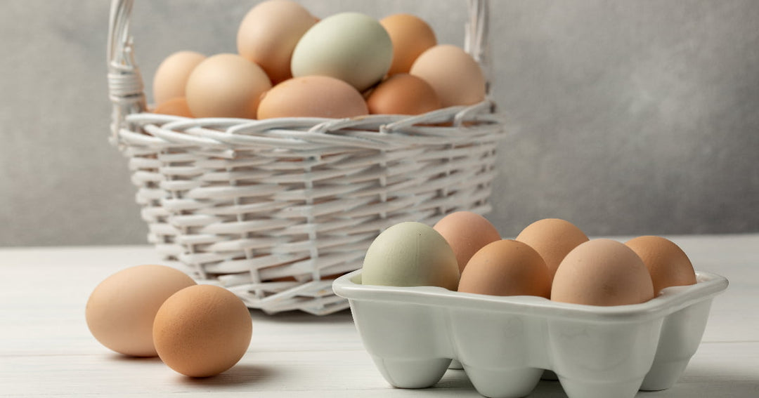 Do Eggs Make You Poop? Eggs and Digestive Upset – Advanced Food ...