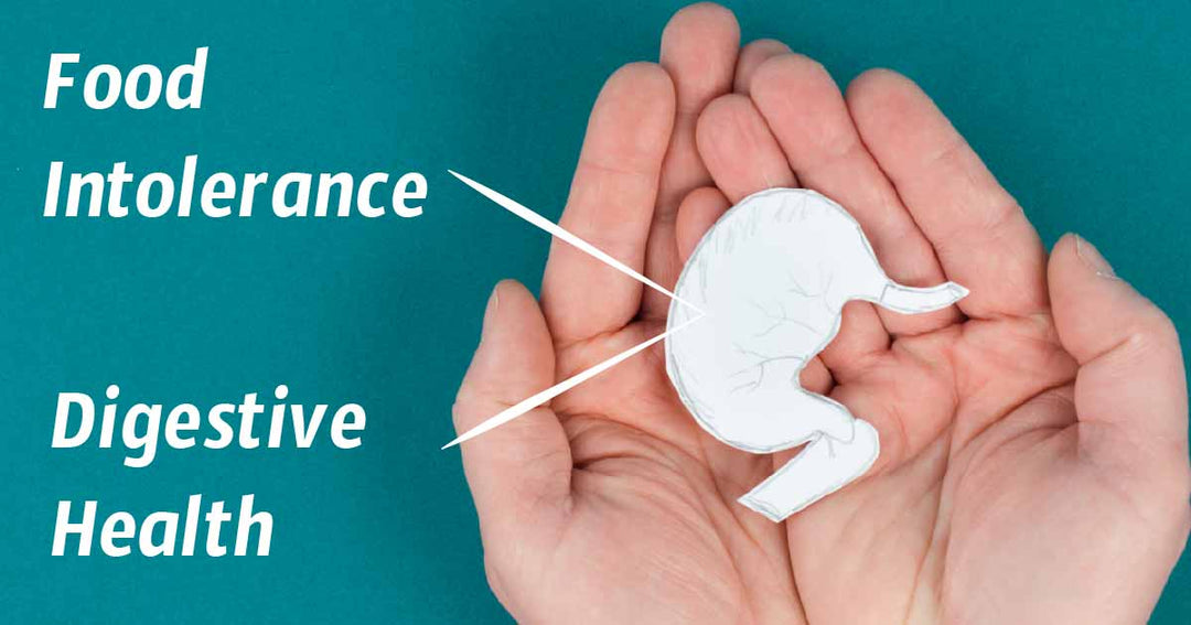 Exploring the Connection Between Food Intolerance and Digestive Health ...