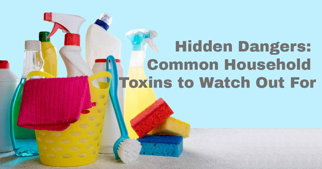 Hidden Dangers: Common Household Toxins to Watch Out For – Advanced ...