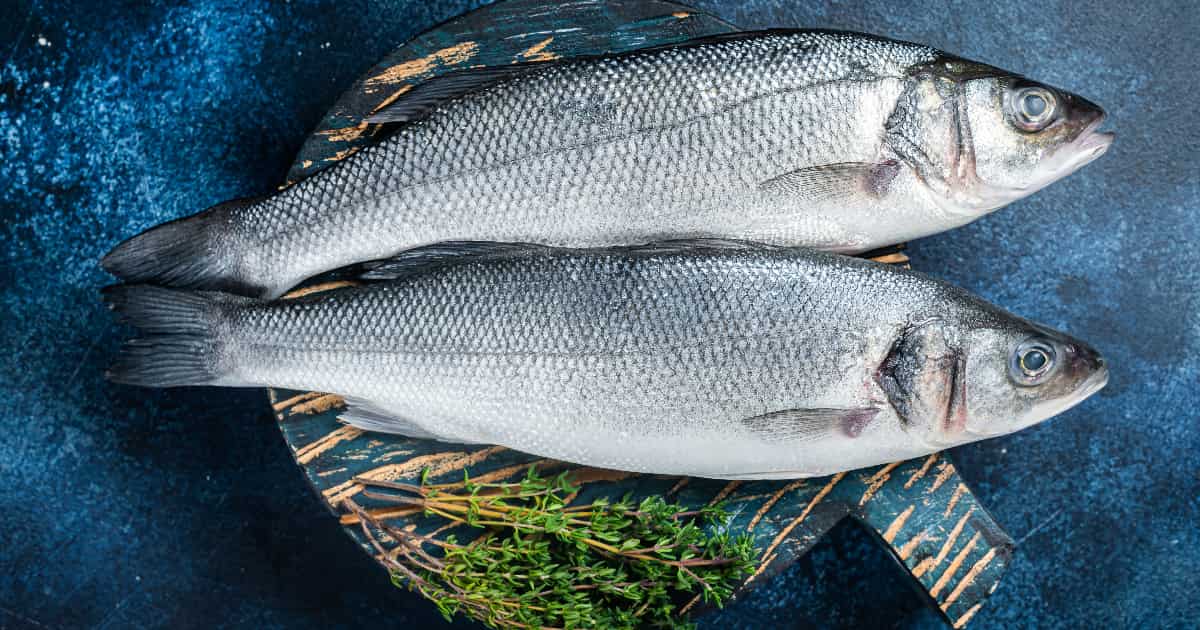 Is Sea Bass Healthy? What to Know Before Adding It to Your Diet ...