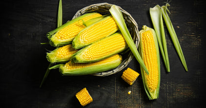 Understanding Corn Intolerance: Symptoms and Diagnosis – Advanced Food ...