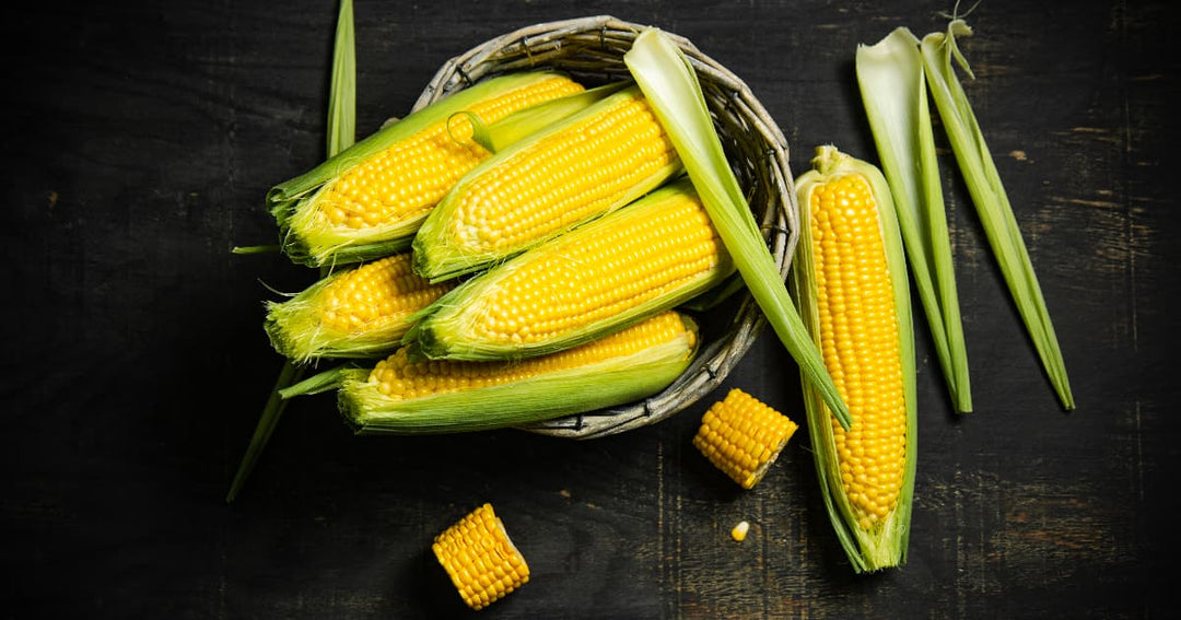 Understanding Corn Intolerance: Symptoms and Diagnosis – Advanced Food ...