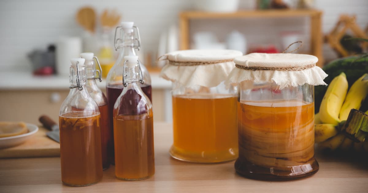 What is SCOBY? Your Guide to Brewing Kombucha at Home – Advanced Food ...