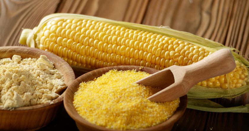What is Soluble Corn Fiber? Benefits and Uses in a Healthy Diet ...