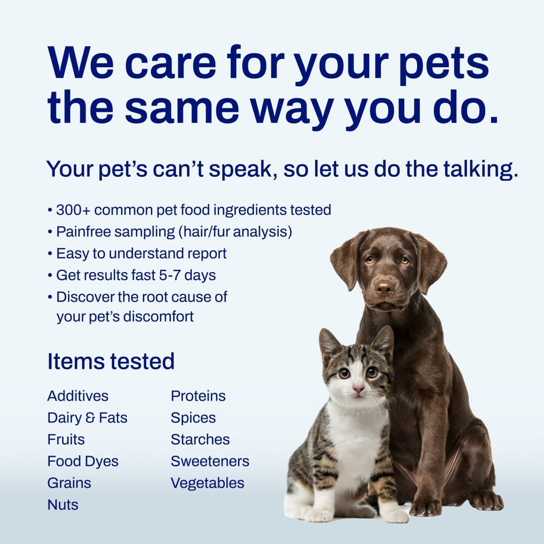 Pet Dry Food Intolerance Test for Dogs & Cats – Advanced Food ...